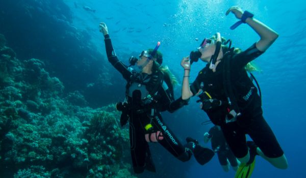 PADI Specialty Two Dives Sharm El Sheikh | Circle Divers