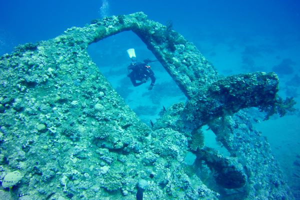 Best Dive Sites in Sharm El Sheikh | Circle Divers